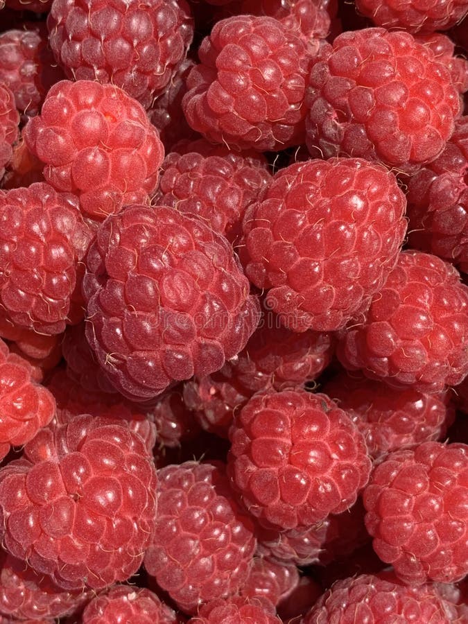 Background Texture Berry Raspberry Closeup Stock Photo - Image of ...
