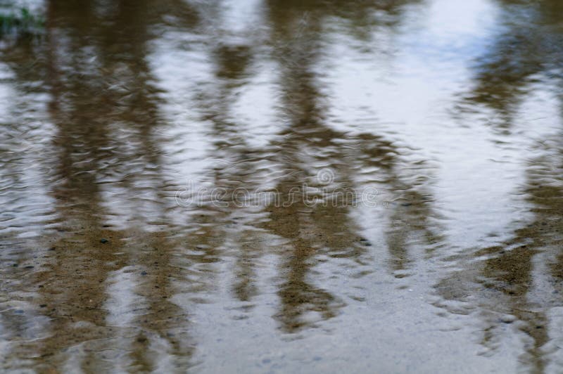 Background Texture Blurred Reflection in a Puddle of Trees and Sky. Aft ...