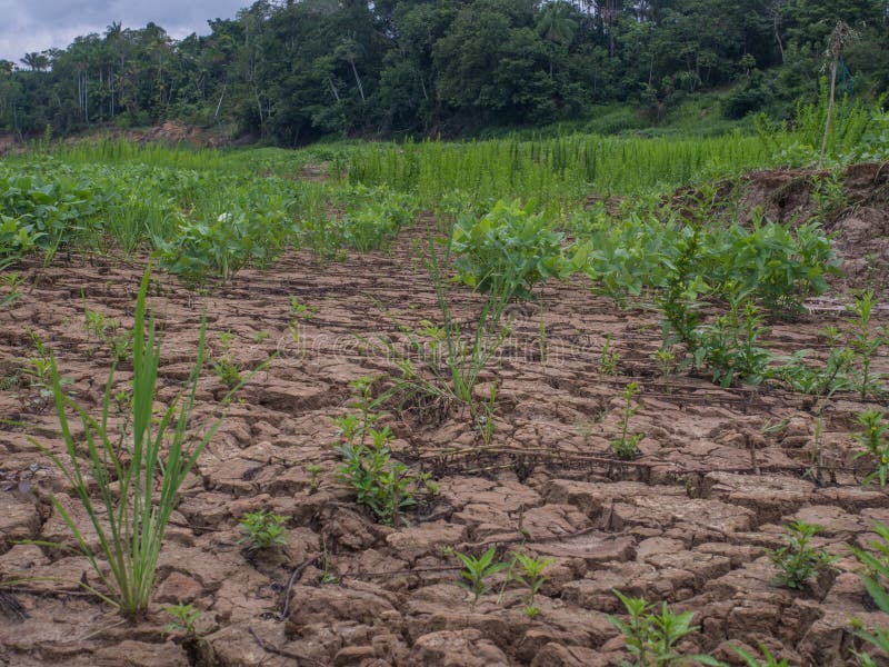 Background. Texture. Bottom of the River Stock Image - Image of chase ...