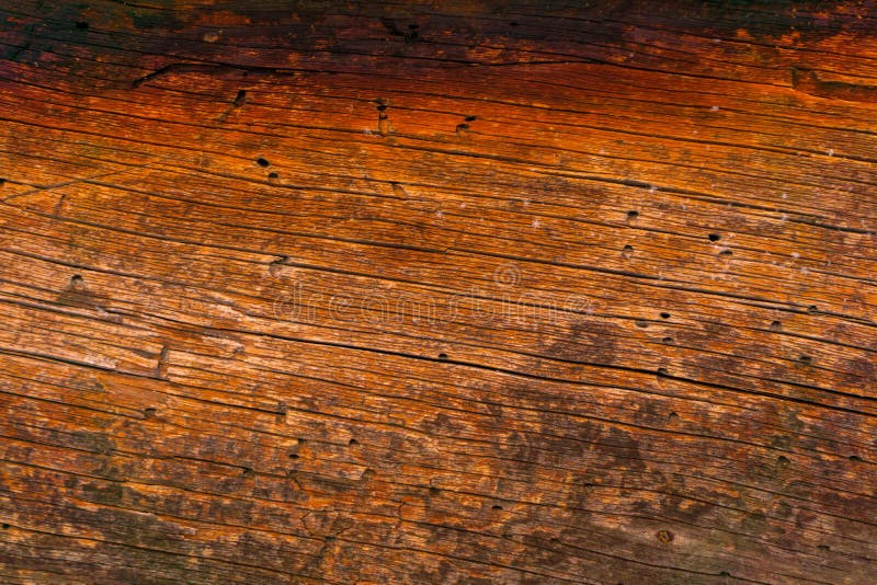 Background Texture - Weathered Log Surface with Snowflakes Stock Image ...