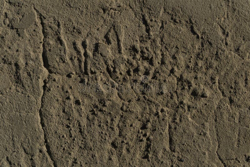 Background, Texture - Brown Clay Wall Stock Photo - Image of brown ...