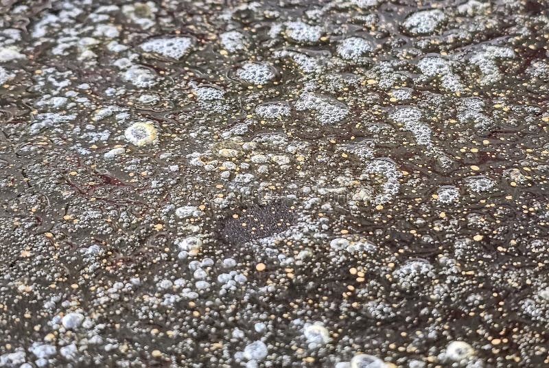 Bubbles of Boiling Oil on the Surface of a Hot Frying Pan Stock Photo ...