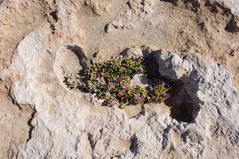 Background texture stock image. Image of bulky, multicolored - 89921145