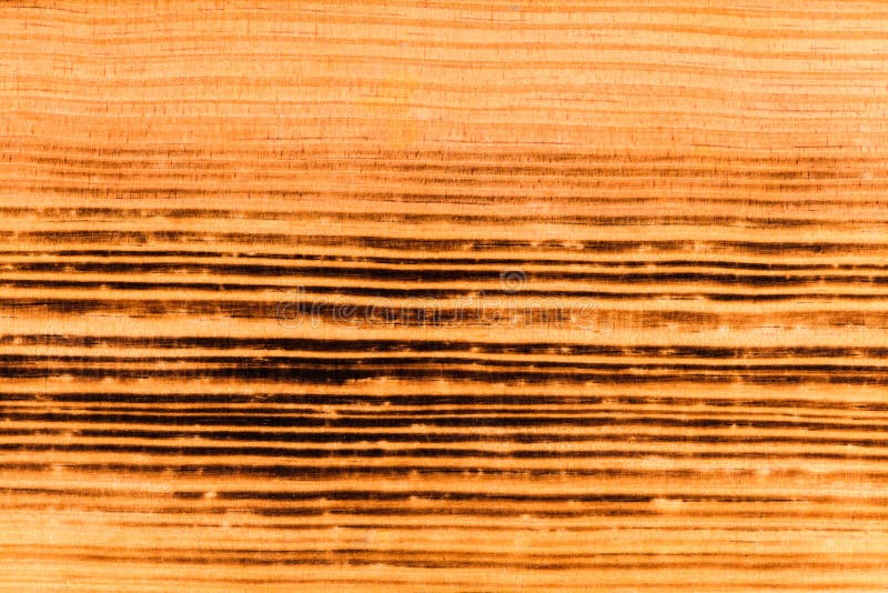 Burned brown pine wood stock photo. Image of pile, chopped - 132781578