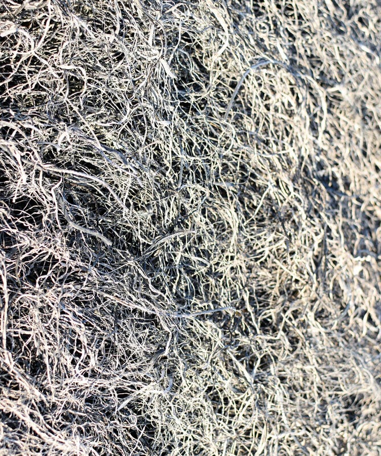 Background Texture Burnt Grass, Ash Stock Photo - Image of environment ...