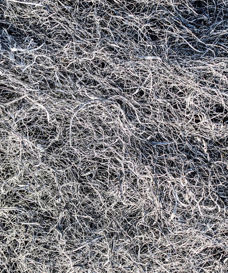 1,960 Burnt Grass Texture Stock Photos - Free & Royalty-Free Stock ...