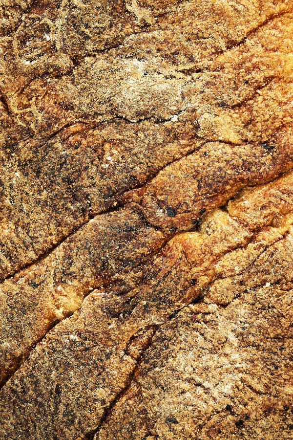 Caked thick crust of bread stock photo. Image of bakery - 107318696