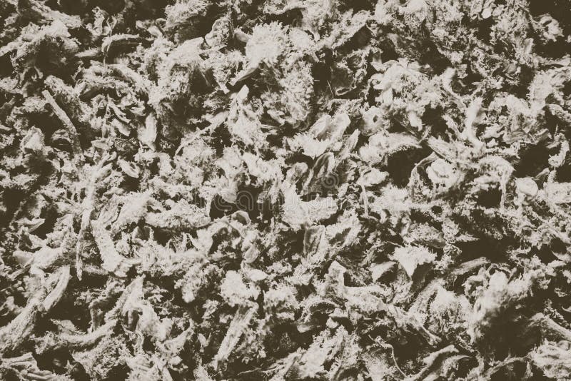 Background Texture of a Cannabis Cone Marijuana Weed Vintage Color ...