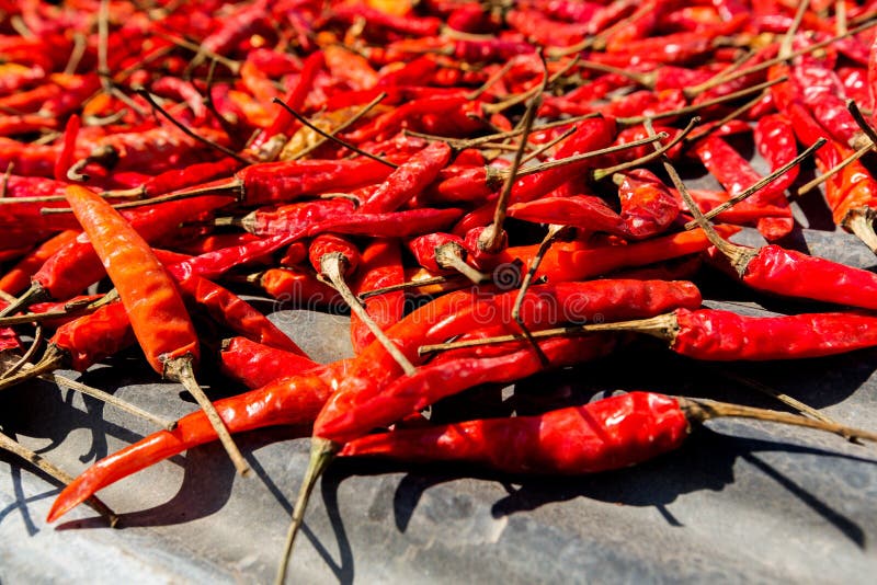 Background Texture of Chili Stock Photo - Image of dried, chilis: 43322368