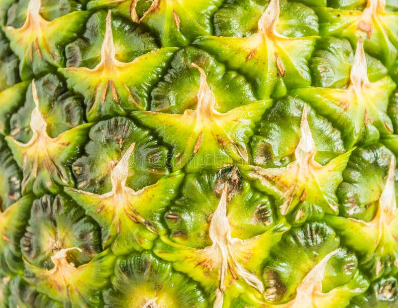 Background Texture Pineapple Skin Stock Image - Image of caribbean ...