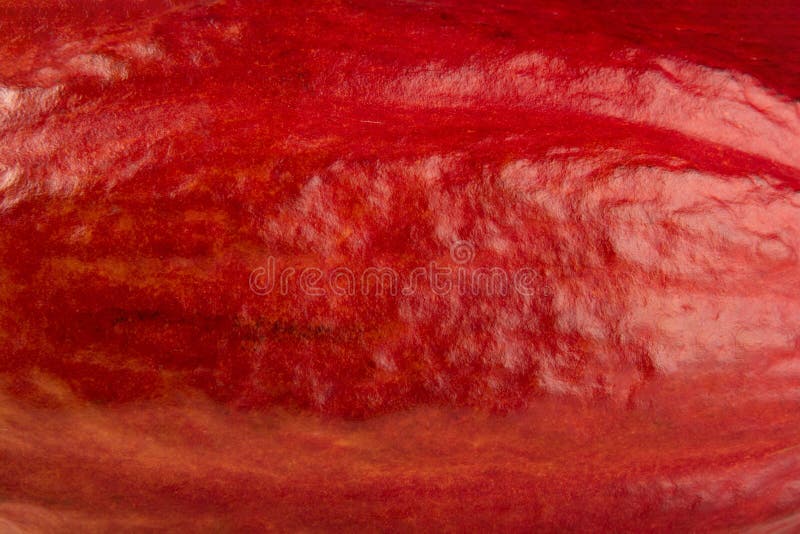 Background with Texture of Cocoa Fruit Peel Stock Image - Image of copy ...