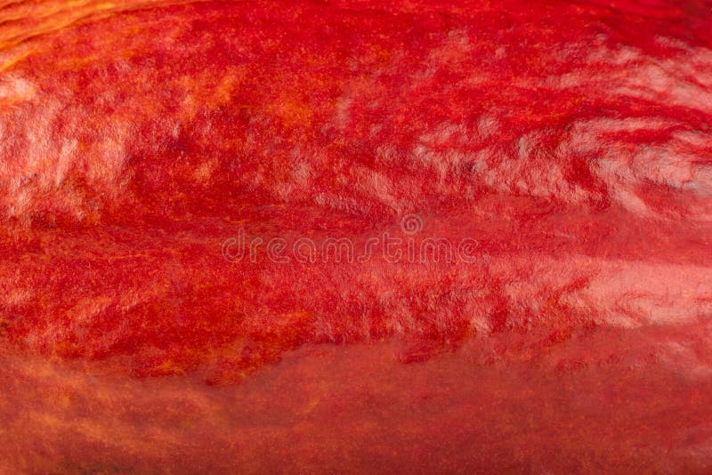 Background with Texture of Cocoa Fruit Peel Stock Image - Image of ...