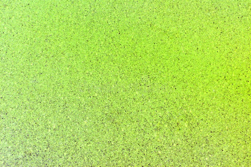 Background Texture of Colored Foam Material Stock Photo - Image of ...