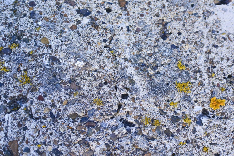 Background Texture of Concrete. Rough Surface Stock Photo - Image of ...