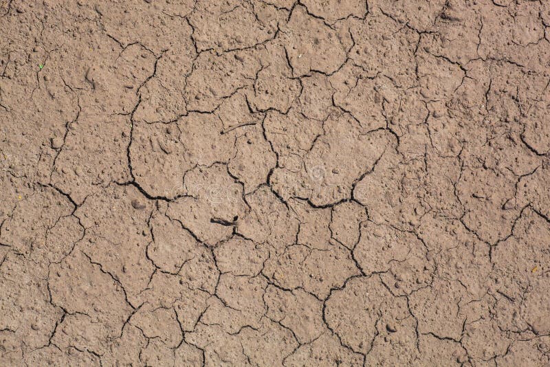 Dry cracked ground stock image. Image of empty, arid - 162289705