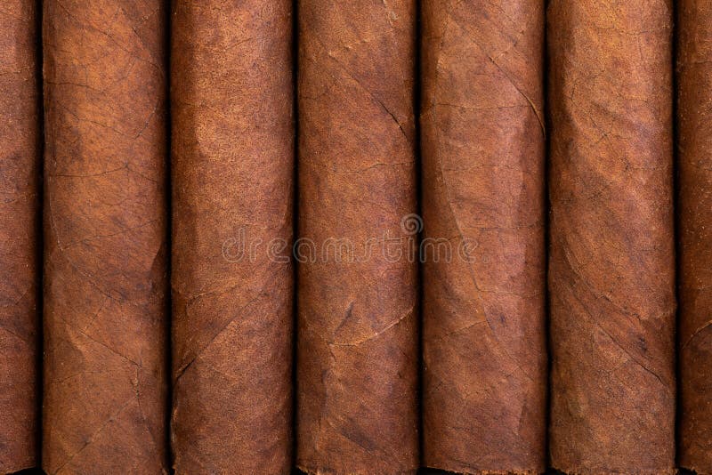 Texture Of Cigar Plant Leaf, Green Background Stock Image - Image of ...