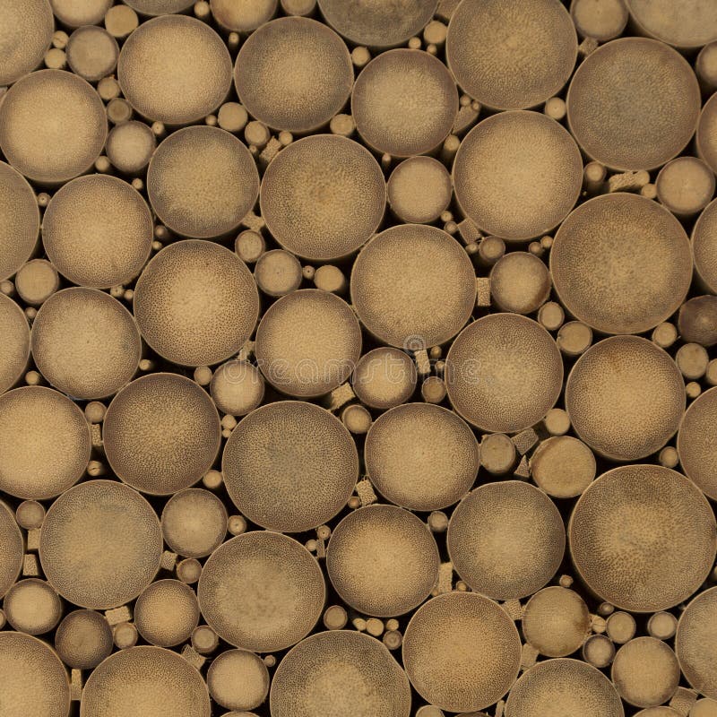 Background with Texture on Cut Bamboo Rods Stock Image - Image of ...