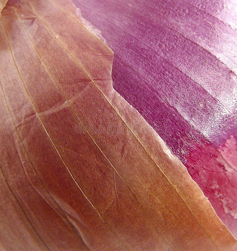 1,082 Onion Skin Macro Background Stock Photos - Free & Royalty-Free ...