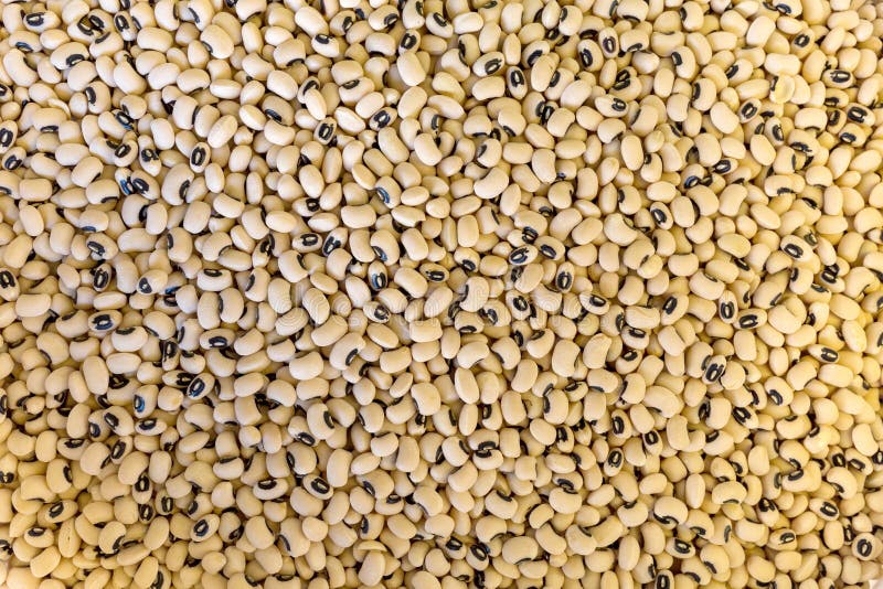 Background Texture of Dried Black-eyed Peas or Beans Stock Image ...