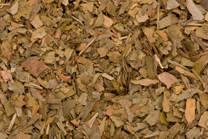 Dried Ginkgo Leaf stock photo. Image of health, biloba - 196021318