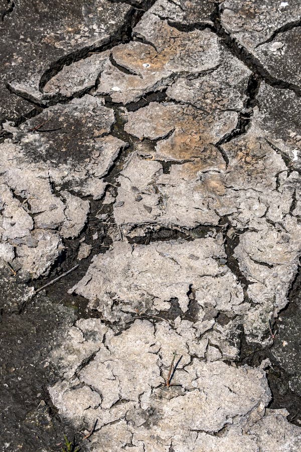 Background Texture Dried Muddy Ground with Large Cracks Stock Photo ...