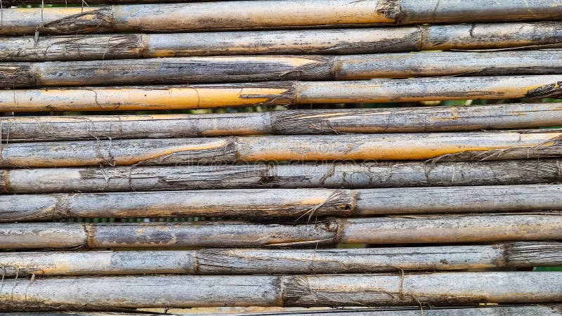 Background Texture of Dry Bamboo Cane. Flat Lay, Vertical Frame Stock ...