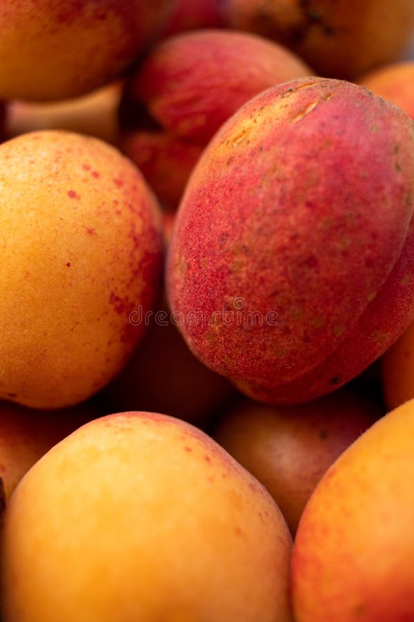 Background or Texture Fresh Natural Apricot Close-up. Stock Image ...