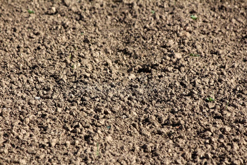 Background Texture of Freshly Plowed Field after Using Harrows Stock ...