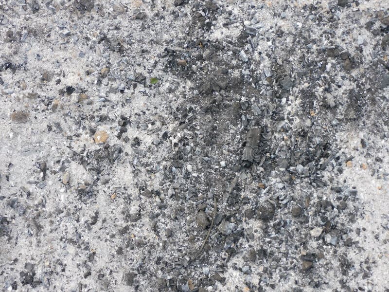 Александр Шнырев (Zemlin03) - Photographer profile