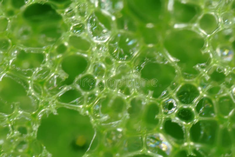Background Texture Green Porous Structure Stock Photo - Image of color ...