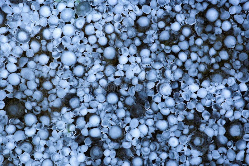Ice hail after a storm stock photo. Image of water, winter - 271124150