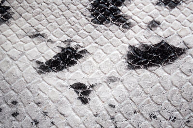 Background Texture Imitation Python Skin Stock Image - Image of ...