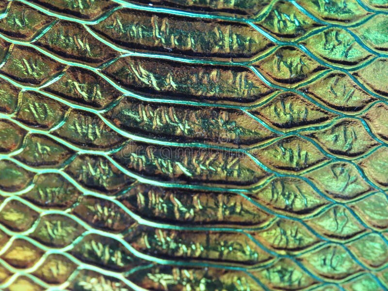 Holographic Crocodile Pattern Stock Photo - Image of golden, fashion ...