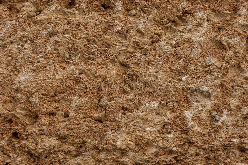 Background. the Texture of Limestone and Lime Close Up Stock Image ...