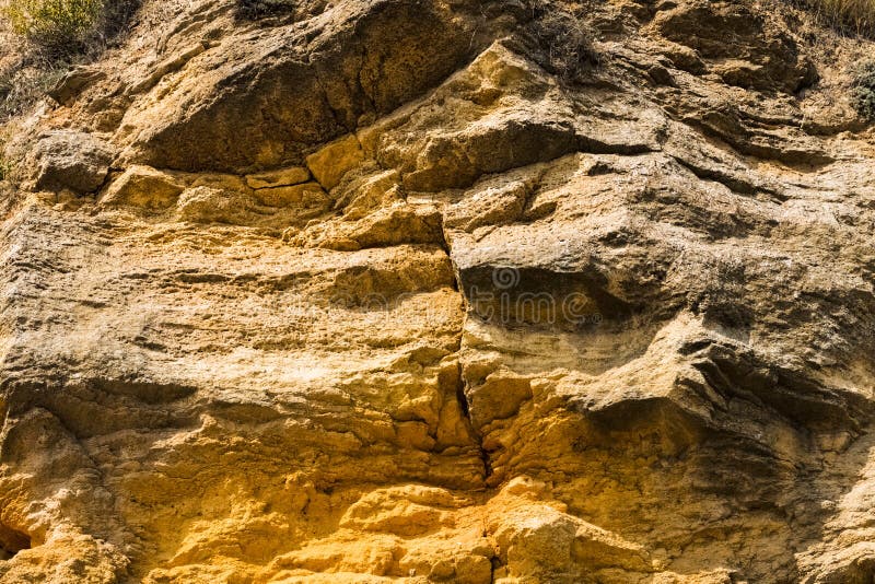 Background, Texture of Limestone Rock from Shell Stock Image - Image of ...