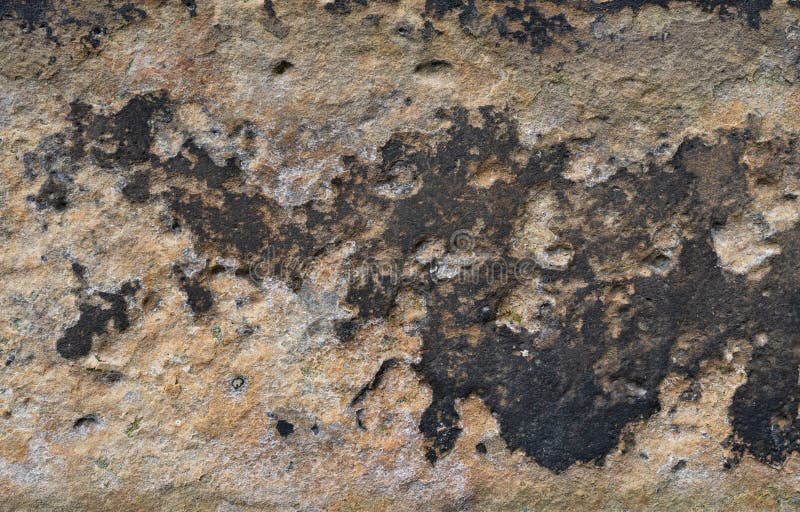 Background Texture of Limestone Stone Surface Stock Image - Image of ...