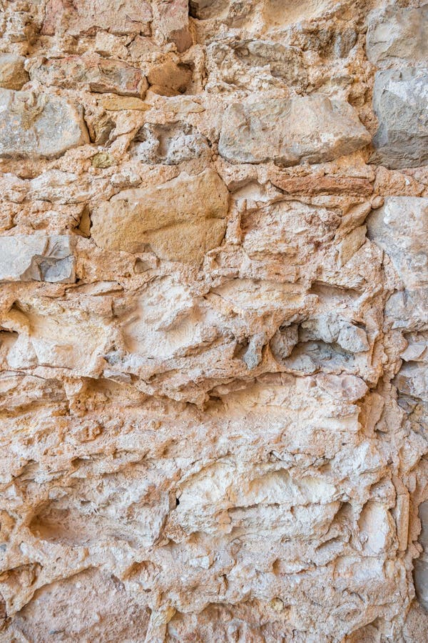 Background Texture of Limestone Stone Surface. Shell Limestone Close-up ...