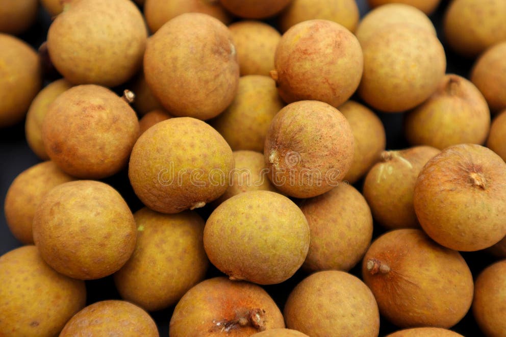 Longan Fruit or Dimocarpus Longan . Stock Image - Image of fruits ...