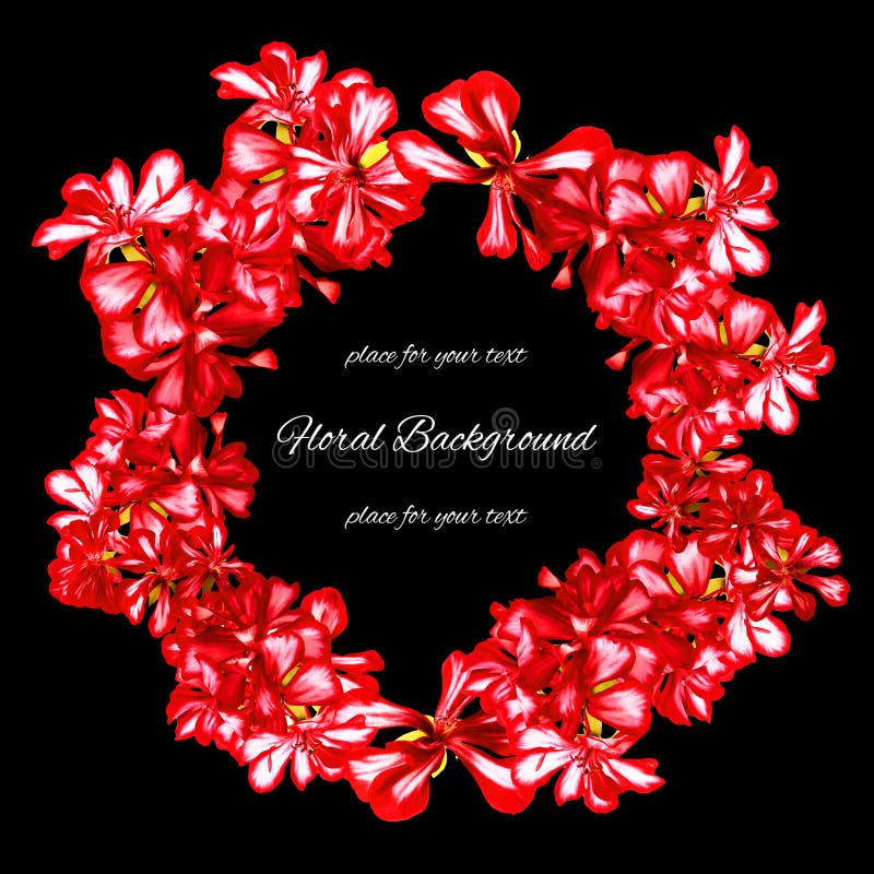 Background Texture Made of Geranium Stock Photo - Image of element ...