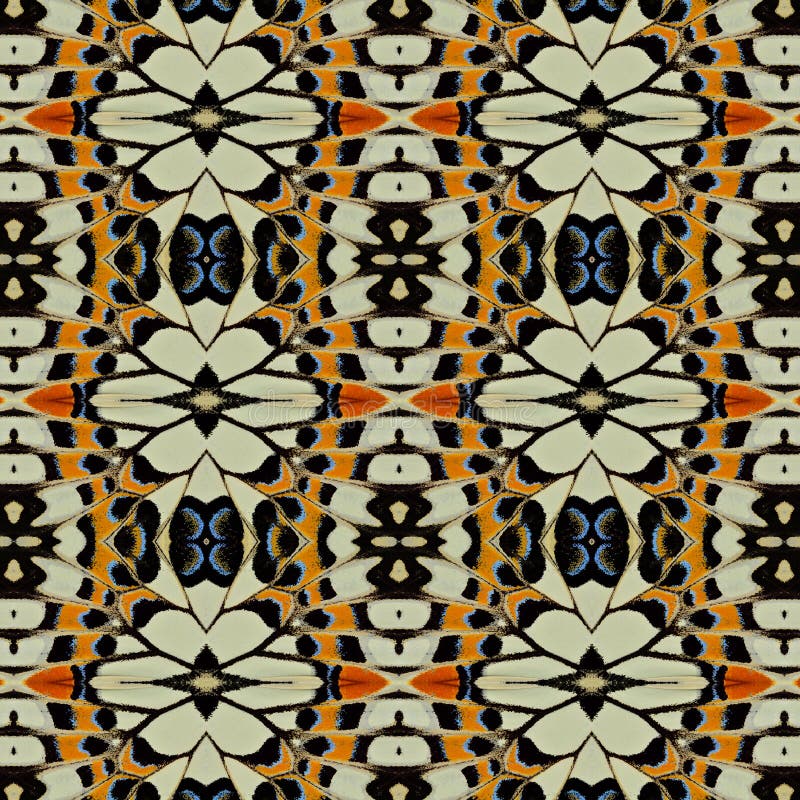 Background Texture Made from LIme Butterfly Wings in Nice Pattern ...