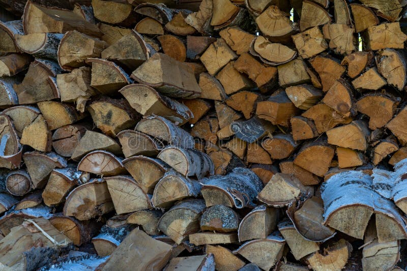 Side View of a Pile of Birch Logs Stock Image - Image of countryside ...