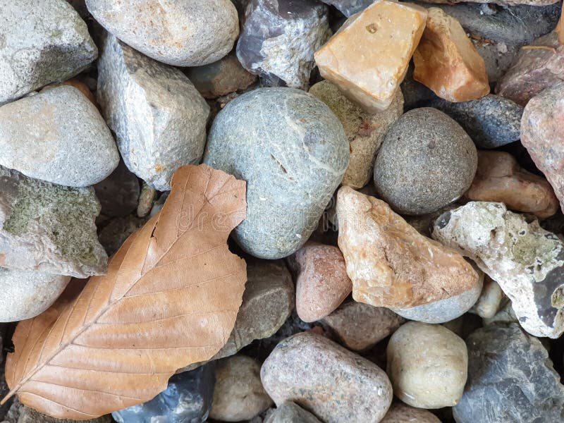 Background Texture Many Small Colored Natural Stones with a Dry ...