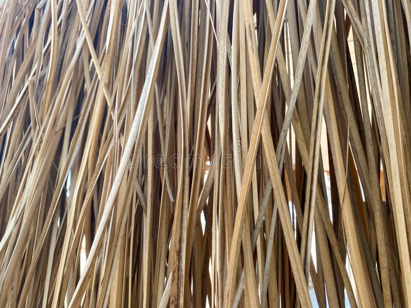 Background, Texture of Natural Dry Yellow Straw for the Roof Stock ...