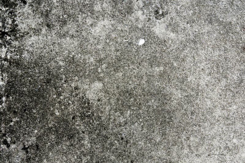 Old cement background. stock image. Image of holiday - 139929977