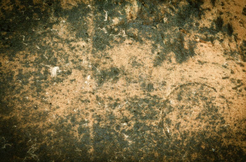 Background and Texture of Old Foam Stock Image - Image of wall ...