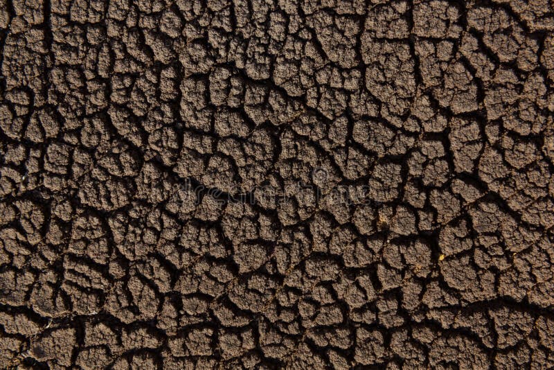 Background with Texture of Old Foam Rubber Stock Image - Image of ...