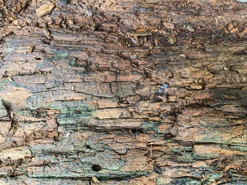 Background, Texture of an Old Rotting, Damaged Wooden Surface Stock ...