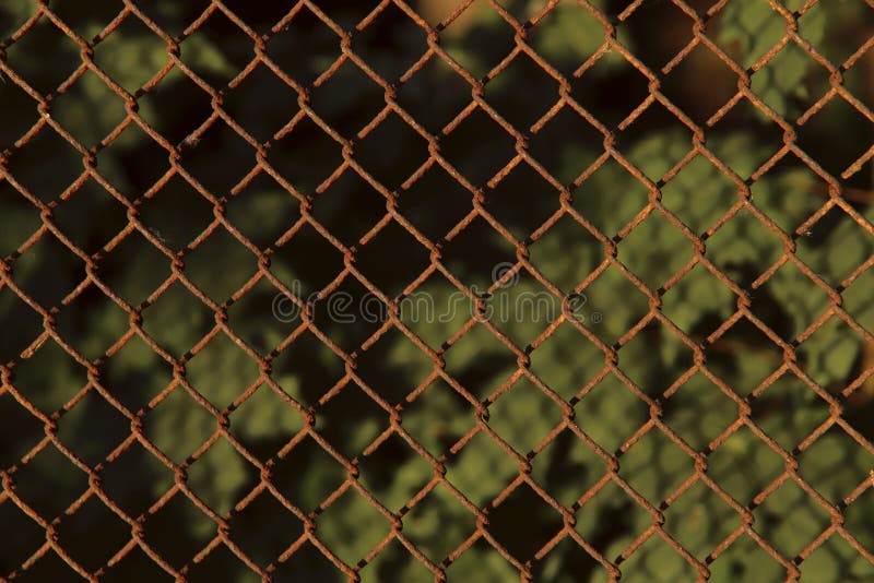 Background Texture of Old Rusty Wire Mesh. Stock Photo - Image of ...