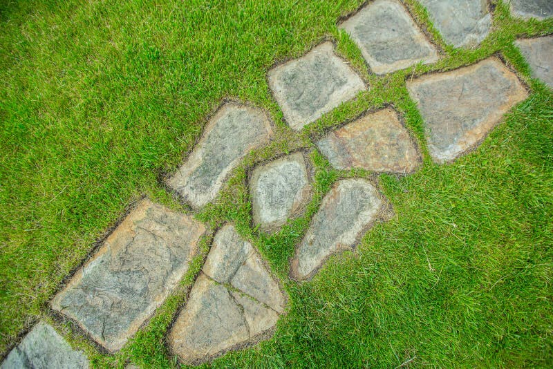 Background Texture, Path on the Lawn Lined with Round Stones on the ...