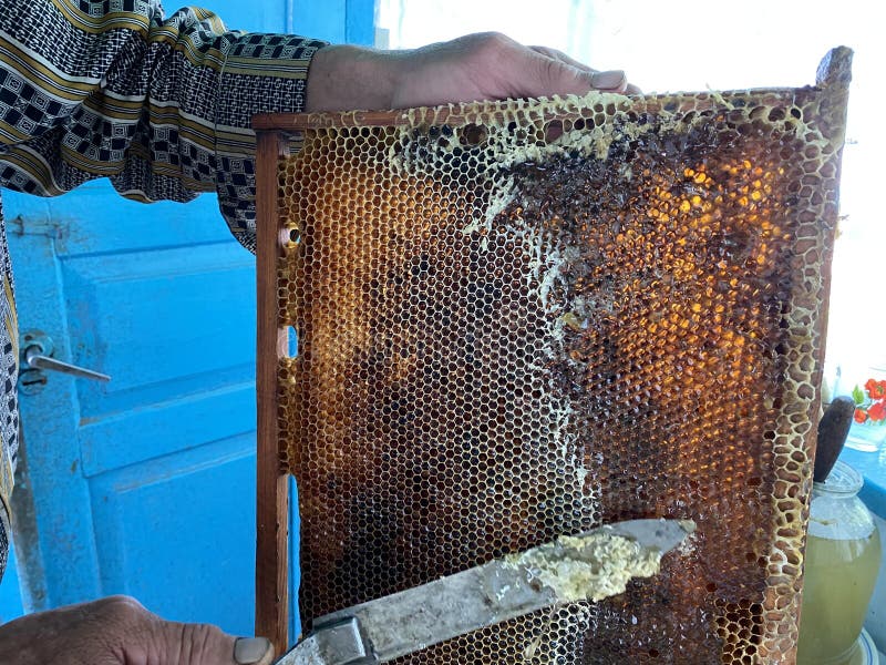 Background Texture and Pattern of a Section of Wax Stock Image - Image ...